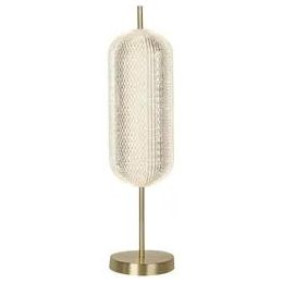 Searchlight LED Tischleuchte "Kapsel-LED-Tischleuchte, Satiniertes Messing & Acryl", Energieeffizienz: F (A-G), satinmessingfarben, klar, H: 60cm, 1 Stk., Leuchten, LED Tischleuchte