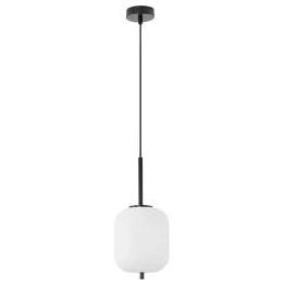 NOVA LUCE H&auml;ngeleuchten "LATO", schwarz, 1, &Oslash; 16,5cm, 1 Stk., Leuchten, Ohne Leuchtmittel
