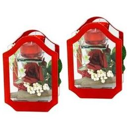Kunstpflanze I.GE.A., rot, B:11cm H:16cm T:6cm, Glas, Kunststoff, Polyester, Kunstpflanzen, Kunstpflanze