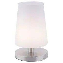 Paul Neuhaus LED Tischleuchte "Sonja", grau (stahlfarben), 1, &Oslash; 14,5cm H: 23cm, 1 Stk., Leuchten, 3-Stufen Touchdimmer, Nachttischleuchte