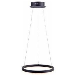 Paul Neuhaus Pendelleuchte "TITUS", grau (anthrazit), 1, &Oslash; 40cm, 1 Stk., Leuchten, LED, dimmbar, Simply Dim, Memory, nach Trennung vom Netz, Pendelleuchte