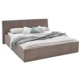 Meise M&ouml;bel Polsterbett MEISE.M&Ouml;BEL "Magnum", grau (taupe, taupe), B:192cm L:229cm, Betten, Polsterbett, wahlweise mit Bettkasten