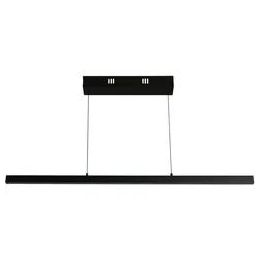 Searchlight LED-H&auml;ngeleuchte "H&auml;ngeleuchte Layla, 1-flammig", schwarz, 1, H: 10cm, 1 Stk., Leuchten, H&ouml;henverstellbar auch in Betrieb