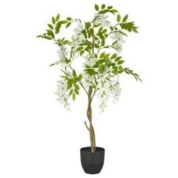 Kunstpflanze Creativ green "Wisteria", wei&szlig;, H:100cm, Kunststoff, Kunstpflanzen, Kunstpflanze, mit zahlreichen Bl&uuml;ten