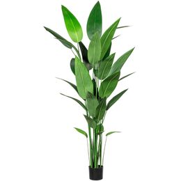 K&uuml;nstliche Zimmerpflanze Creativ green "Wassercanna", gr&uuml;n, H:210cm, Kunststoff, Kunstpflanzen, K&uuml;nstliche Zimmerpflanze