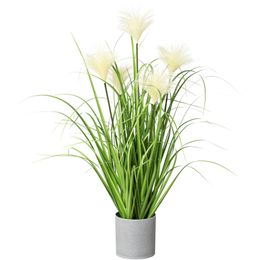 Kunstgras Creativ green "Riedgras", gr&uuml;n, H:66cm &Oslash;:15cm, Kunststoff, Kunstpflanzen, im grauen Kunststofftopf