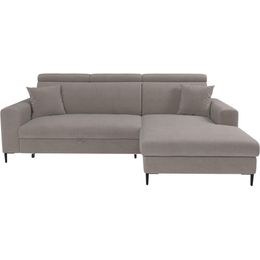 Ecksofa TRENDS BY HG "Nizza", d517 enjoy new 46 pewter, B:250cm H:104cm T:166cm, 92% Polyester;8% Nylon, Sofas, Ecksofa, Schlaffunktion + Bettkasten
