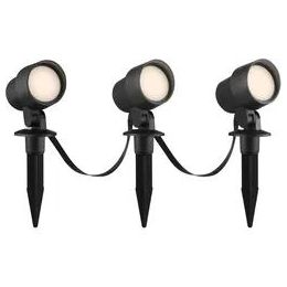 LED Gartenleuchte Brilliant "Kamara", schwarz, B:7cm H:20cm T:6cm, Leuchten, LED Gartenleuchte, LED Gartenspie&szlig; Set, dimmbar, RGB, CCT, IP44, schwarz, App steuerbar