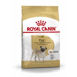Royal Canin Hundetrockenfutter 'Pug Adult ' 3 kg