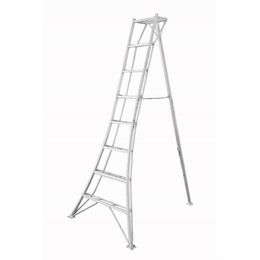 Niwaki 3-Holm-Gartenleiter Aluminium silbern 157 x 125 x 240 cm