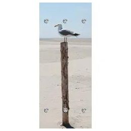 Garderobenpaneel queence "Wandgarderobe mit Motiv Foto einer M&ouml;we am Meer inkl. Edelstahlhaken", wei&szlig;, B:50cm H:120cm T:2,5cm, Acrylglas, Edelstahl, Garderobenpaneele, Garderobenpaneel, HD Premium Druck auf Acrylglas