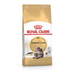 Royal Canin Katzentrockenfutter 'Maine Coon Adult' 10 kg
