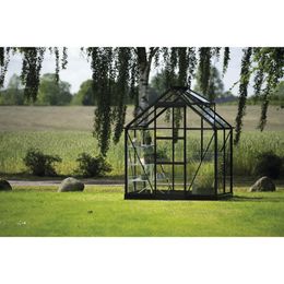 HALLS Gew&auml;chshaus 'ICON 6' 192,5 x 130,3 cm mit 3 mm Blankglas schwarz