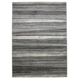 ANDIAMO Teppich 'Adamo' grau 120 x 170 cm