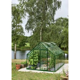 HALLS Gew&auml;chshaus 'Universal 128' 257 x 384 cm mit 3 mm Blankglas gr&uuml;n