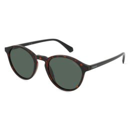 Polaroid PLD 4153/S | Herren-Sonnenbrille | Fassung: Vollrand, Panto, Kunststoff, Havanna | Glasfarbe: Gr&uuml;n