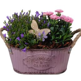 Zink-Gef&auml;&szlig; bepflanzt 20 cm