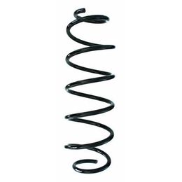 SPIDAN Fahrwerksfeder 87728 Hinterachse f&uuml;r RENAULT