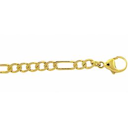 Adelia&acute;s Armband ADELIA&acute;S "19 cm Figaro Armband 333 Gold ( 8K )", gold, Armb&auml;nder, Damen, 19cm, Gold, Armband, Goldarmband