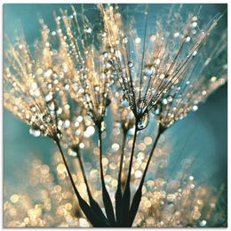 Glasbild Artland "Pusteblume Schirmchen abstrakt", blau (farbe bild(er): blau), B:50cm H:50cm, Bilder, in verschiedenen Gr&ouml;&szlig;en