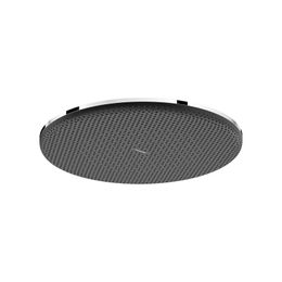 Hansgrohe Raindance Alive S Kopfbrause, 1 Strahlart, 24523000,