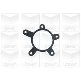 Graf Wasserpumpe pa036 f&uuml;r Ford SAAB