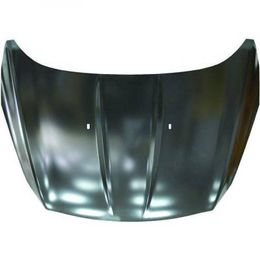 DIEDERICHS Motorhaube 1471000 f&uuml;r Ford