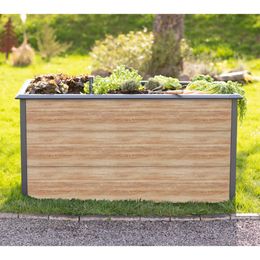 WESTMANN Hochbeet 'Primus-Multi L' naturbelassen 150 x 77 x 75 cm