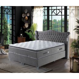 Boxbett COSTARICO