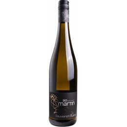 Bioweingut Martin Sauvignon Blanc 2025 Trocken - Pfalz &ndash; Wei&szlig;wein Qualit&auml;tswein