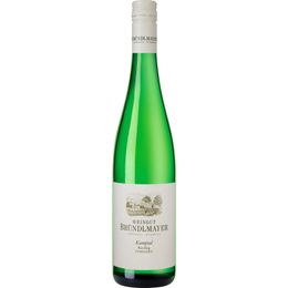 Br&uuml;ndlmayer Weingut Br&uuml;ndlmayer Kamptaler Terrassen Riesling 2024 Trocken - Nieder&ouml;sterreich &ndash; Wei&szlig;wein Qualit&auml;tswein