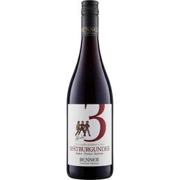 Familien-Weingut Renner 0,375 L Sp&auml;tburgunder 2022 Trocken - Baden &ndash; Rotwein Kabinett