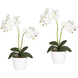 Phalaenopsis im wei&szlig;en Keramiktopf, H&ouml;he 500 mm, VE 2 Stk, Bl&uuml;ten wei&szlig; kaiserkraft