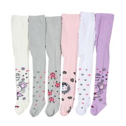 Strickstrumpfhose TUPTAM "Strumpfhose M&auml;dchen Strickstrumpfhosen Bunt Gemustert 6er Pack", M&auml;dchen, Gr. 62, lila (farbenmix 5), Obermaterial: 76% Baumwolle CO. 22% Polyamid PA. 2% Elasthan EL., Strumpfhosen
