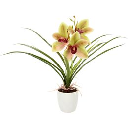 Kunstblume OTTO HOME "Orchidee", bunt (gr&uuml;n, rot), B:26cm H:32cm L:16cm, Polyester, Kunstpflanzen, Mit Bl&auml;tter im Topf aus Keramik K&uuml;nstliche Blume Cymbidium-Orchidee