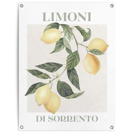 Poster Reinders "Limoni", gelb (farbe bild(er): gelb), B:60cm H:80cm T:0,1cm, Bilder, Poster, Garten - Zitrone - Sorrento - Gelb - Leinwand - 60x80 cm