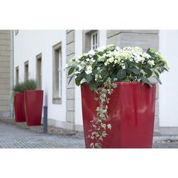 DEGARDO Pflanzbeh&auml;lter, TREVIA IV, HxBxT 900 x 470 x 470 mm, rubinrot