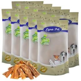 LYRA PET Rindernackensehnen 1 - 7 cm 10 kg