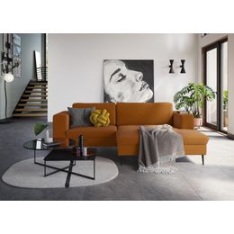 Ecksofa DOMO collection "Modica kompakt und elegant, Breite 244, L-Form", gelb (curry), B:244cm H:83cm T:173cm, Sofas, Ecksofa, Auch in Cord, Fu&szlig;h&ouml;he passend f&uuml;r g&auml;ngige Saugroboter