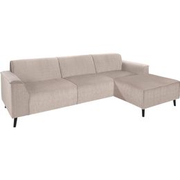 Ecksofa DOMO collection "Amora, inkl. Federkern, hoher Sitzkomfort, Breite 268 L-Form", beige, B:268cm H:81cm T:159cm, Struktur grob (100% Polyester);Luxus-Microfaser (100% Polyester);Struktur (100% Polyester), Sofas, Ecksofa, Komfortsitzh&ouml;he 47 cm, Fu&szlig;h&ouml;he passend f&uuml;r g&auml;ngige Saugroboter