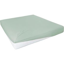 Spannbettlaken Primera "Elasthan-Feinjersey", blau (aquamarin), 1 Stk., Jersey-Elasthan, 180-200x200-220 28cm, Jersey-Elasthan, Obermaterial: 95% Baumwolle, 5% Elasthan, Bettlaken, Spannbettlaken, PREMIUM, aus 95% gek&auml;mmter Baumwolle und 5% Elasthan, bis 28 cm H&ouml;he