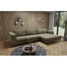 Ecksofa DOMO collection "Modica, zeitlos und elegant, L-Form", braun (schlamm), B:329cm H:83cm T:173cm, 100% Polyester, Sofas, Ecksofa, Auch in Cord, Fu&szlig;h&ouml;he passend f&uuml;r g&auml;ngige Saugroboter