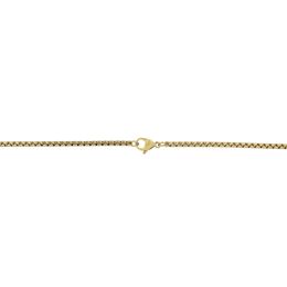 Adelia&acute;s Kette ohne Anh&auml;nger ADELIA&acute;S "Unisex Halskette mit Anh&auml;nger &ndash; Totenkopf aus Edelstahl", silber, Halsketten, Damen, 60cm, Edelstahl, Eine sch&ouml;ne Geschenkidee f&uuml;r jeden Anlass