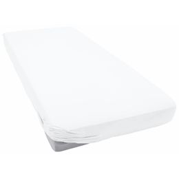 Spannbettlaken Primera "Elasthan-Feinjersey Boxspring", wei&szlig;, 1 Stk., Jersey-Elasthan, 180x200 180x210 180x220 190x200 190x210 190x220 200x200 200x210 200x220 37cm, Jersey-Elasthan, Obermaterial: 95% Baumwolle, 5% Elasthan, Bettlaken, Spannbettlaken, f&uuml;r hohe Matratzen, PREMIUM, aus 95% gek&auml;mmter Baumwolle, 5% Elasthan