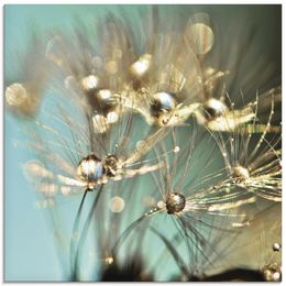 Glasbild Artland "Pusteblume gl&auml;nzendes Gold", blau (farbe bild(er): blau), B:50cm H:50cm, Bilder, in verschiedenen Gr&ouml;&szlig;en