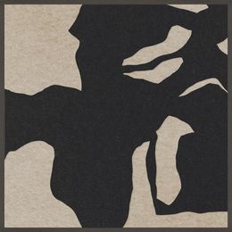 SONSTIGE Akustikbild SILENT SHADOW 1