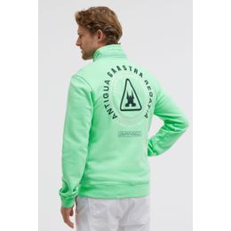 Sweatjacke Gaastra, Herren, Gr. L, reef gr&uuml;n, Material: 72% Baumwolle, 28% Polyester, bedruckt, bestickt, regular fit normal, hoch geschlossener Ausschnitt, eingesetzt Rippb&uuml;ndchen, Sweatjacken Sweatjacke, mit Stehkragen