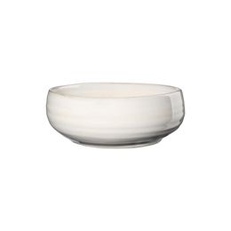 Asa ramen schale, hasu shiny