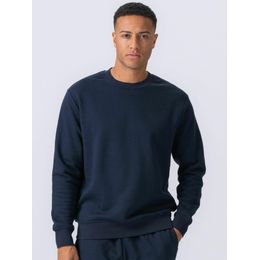 Rundhalspullover TEESHOPPEN "TEESHOPPEN Pullover Essential Crewneck", Herren, Gr. L, blau (navy), Obermaterial: 60% Baumwolle, 40% Polyester, Pullover Rundhalspullover