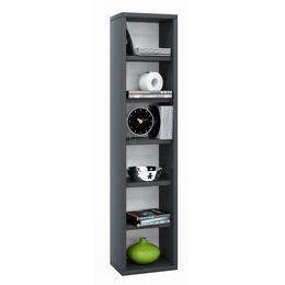 CD-Regal Elementa in Schwarz, B: 21 cm